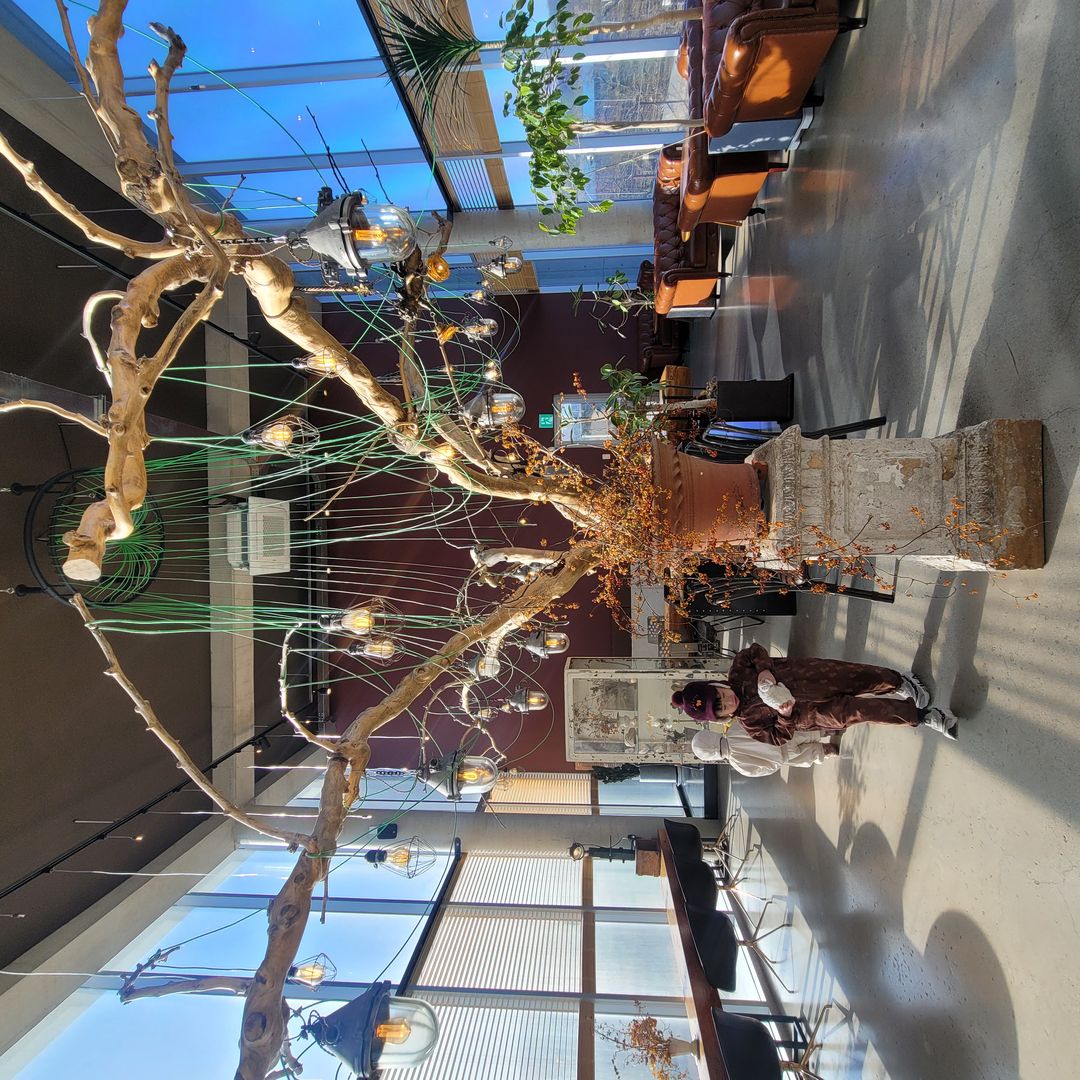 Pear Tree Forest place to visit in Chungnam Cheonan-si with kids